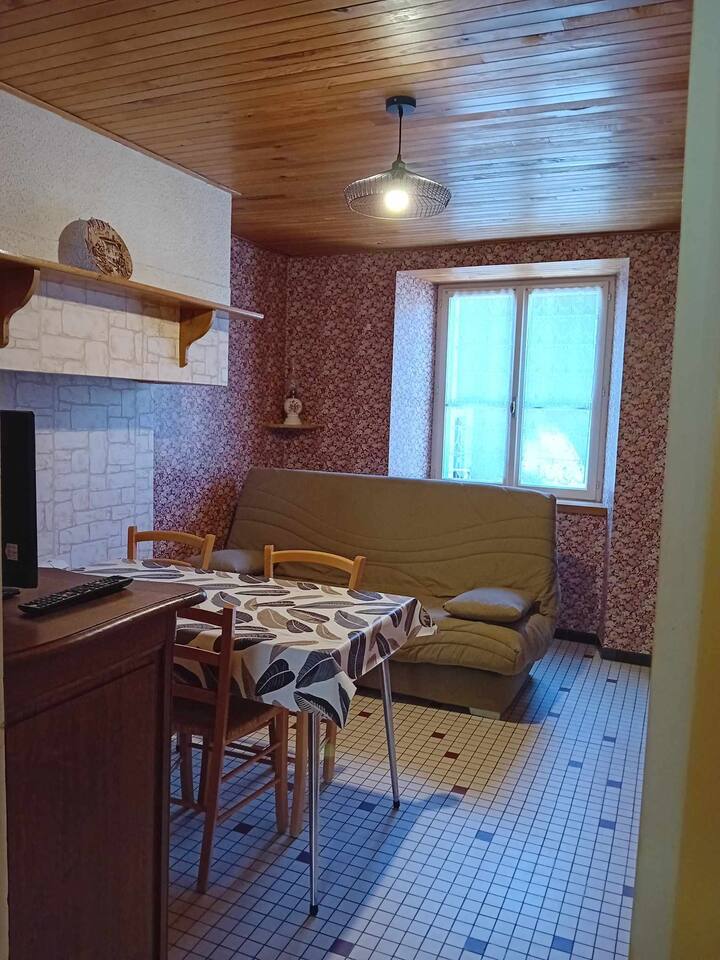 Appartement Chaudes-aigues - Chaudes-Aigues