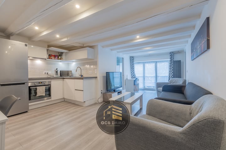 Chez Mumu - 2 Bedrooms With Tv/downtown - Grenoble