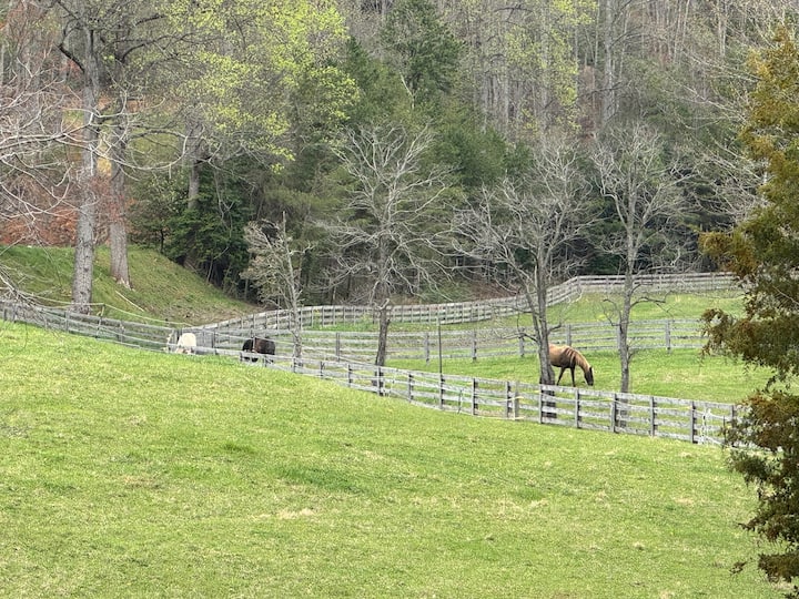 Smoky Mountain Cabin - Bryson City, NC