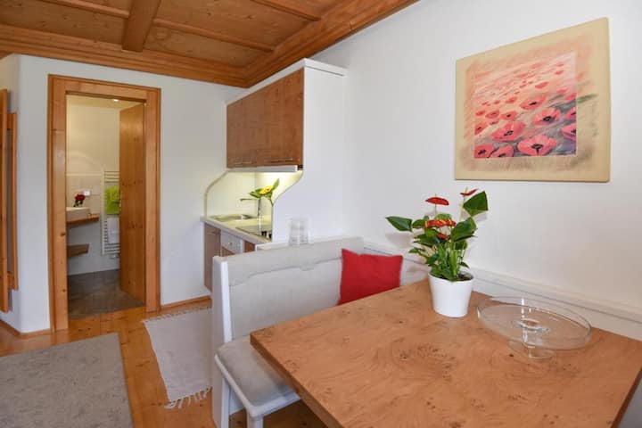Apartment Dachstein Mit Dachsteinpanoramablick - Schladming