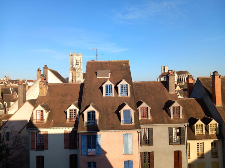 Duplex De Caractère Centre Ville - Auxerre