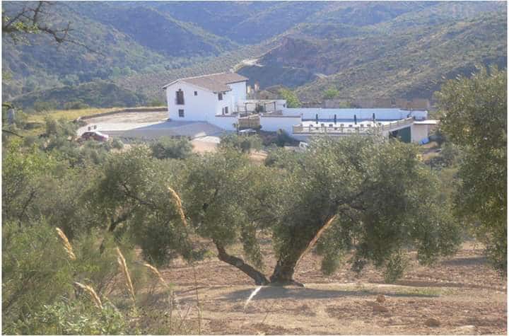 Cortijo Vaquero - Riofrío