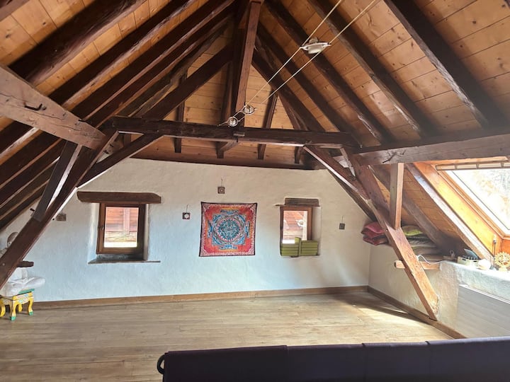 Ancienne Forge Et Salle De Yoga Genève 7km Du Lac - Archamps