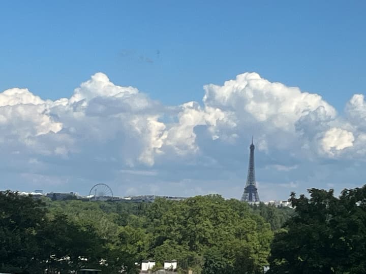 Appartement Vue Tour Eiffel - Suresnes