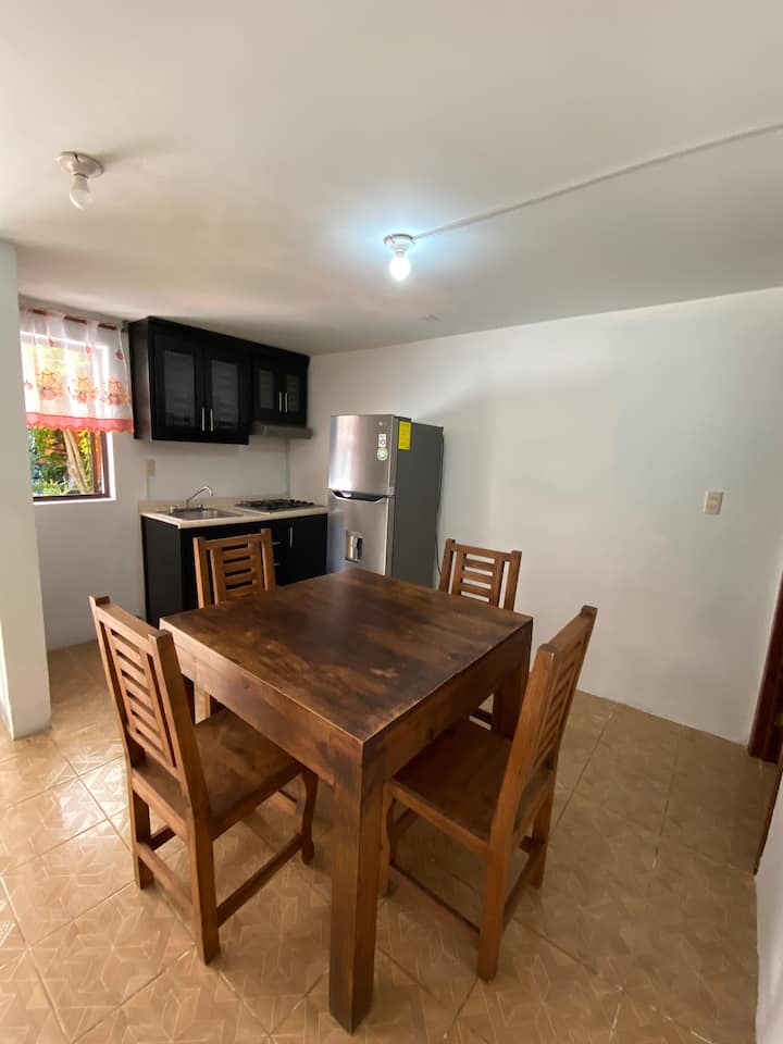 Departamento Céntrico - Zaragoza (Mexico)