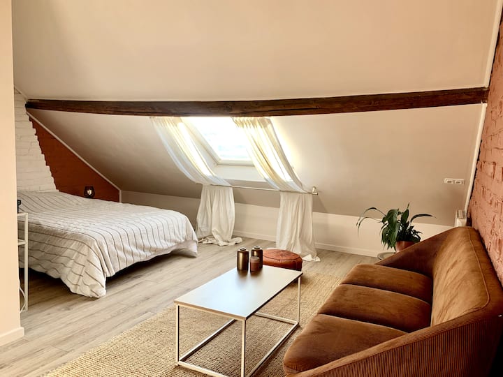 Chambre + Sdb Spacieuses Privées Et Chaleureuses - リール