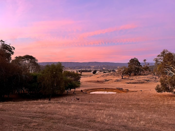 The Red Shed - Mole Creek