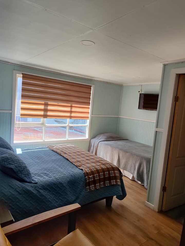 Milodon - Puerto Natales