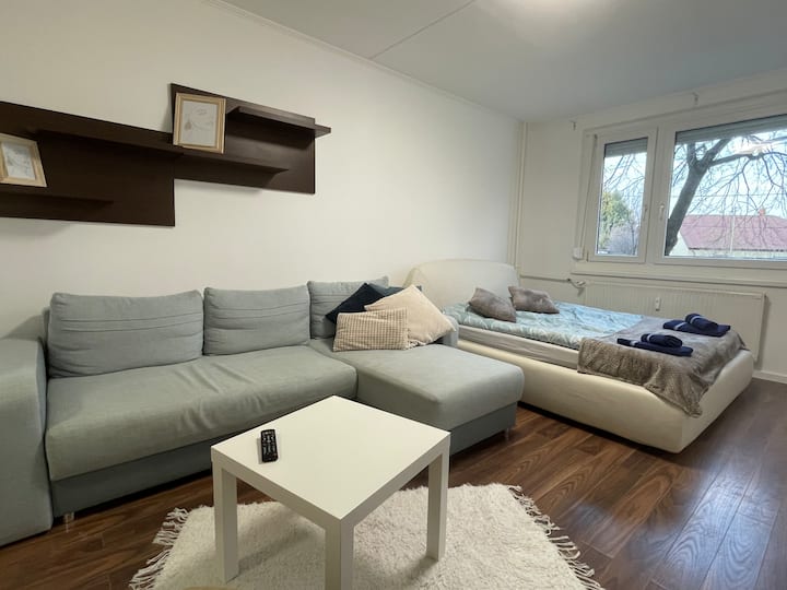 Sz43 Apartman Győr Free Parking - Győr