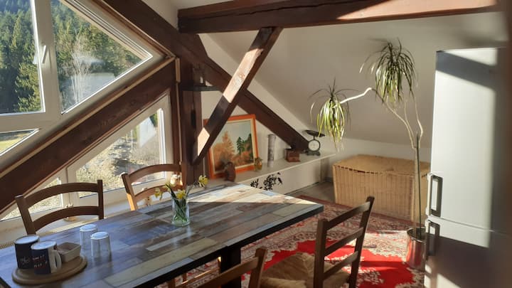 Le Loft Des 2 Lacs
En Pleine Nature - Lac de Retournemer