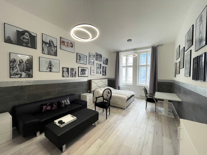 Air-conditioned Vintage & Modern - Central 1 Bdr - Prague