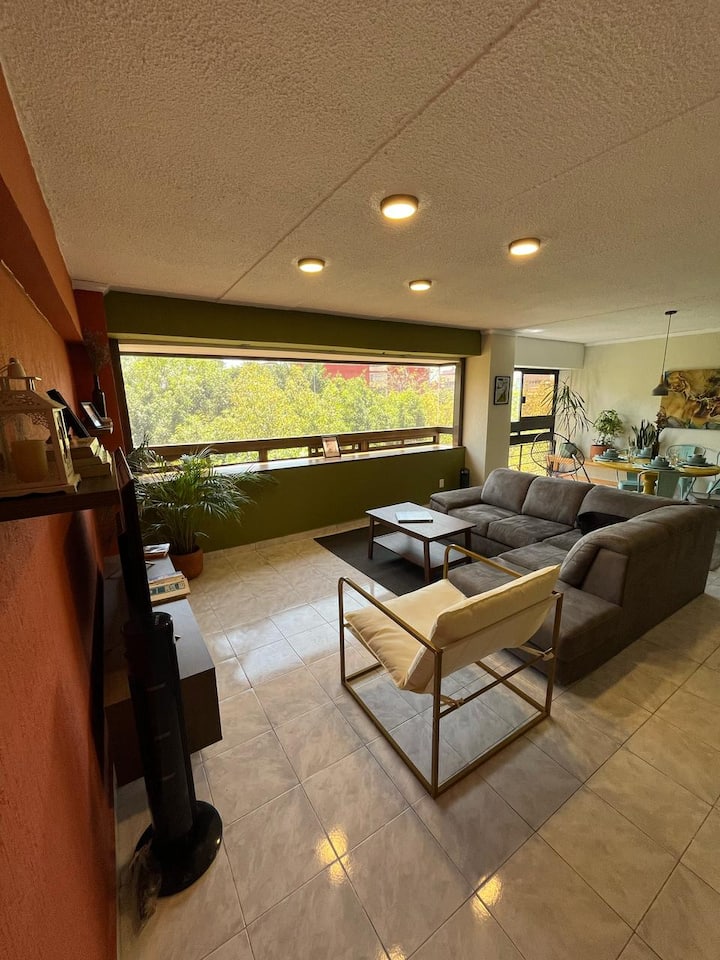 Green View Loft Condesa - Ciudad de México