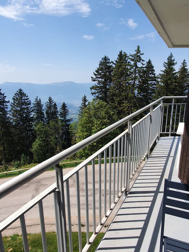 Superbe Appartement Chamrousse - Chamrousse