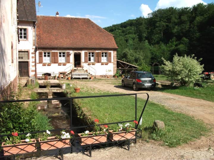 Gite Du Vieux Moulin - La Petite-Pierre