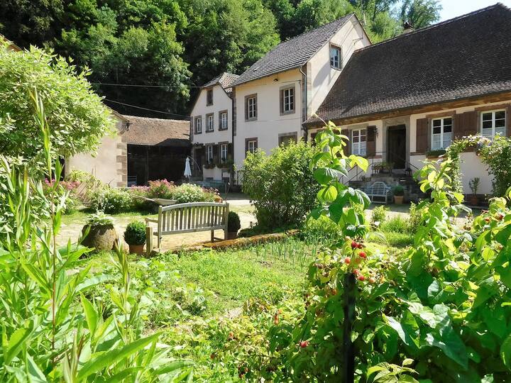 Ancien Moulin à Eau - La Petite-Pierre