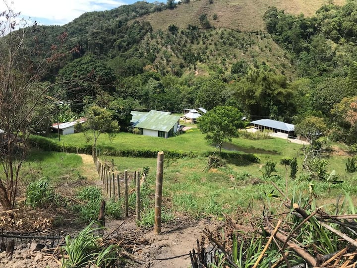Wenceslaima Santuario De Paz - Ibagué