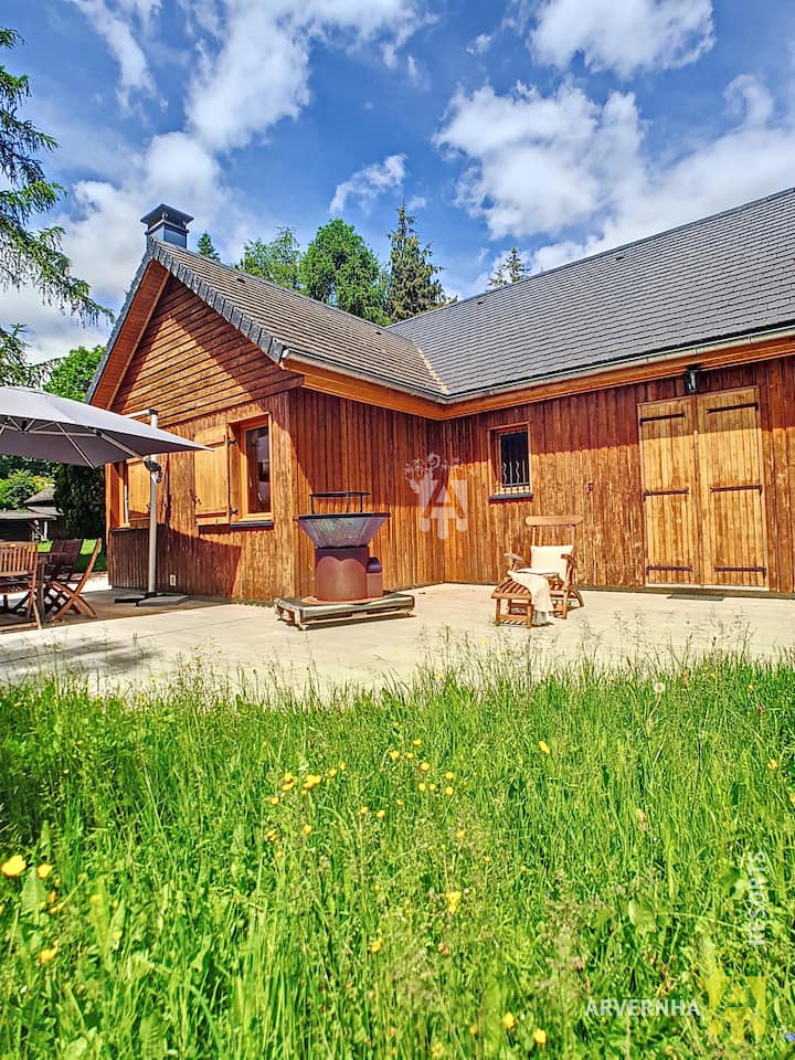 Chalet Les Mélèzes - Chambon-sur-Lac