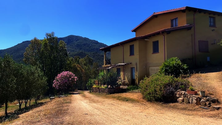 Apartment With Patio And Fruit Garden - Costa Rei