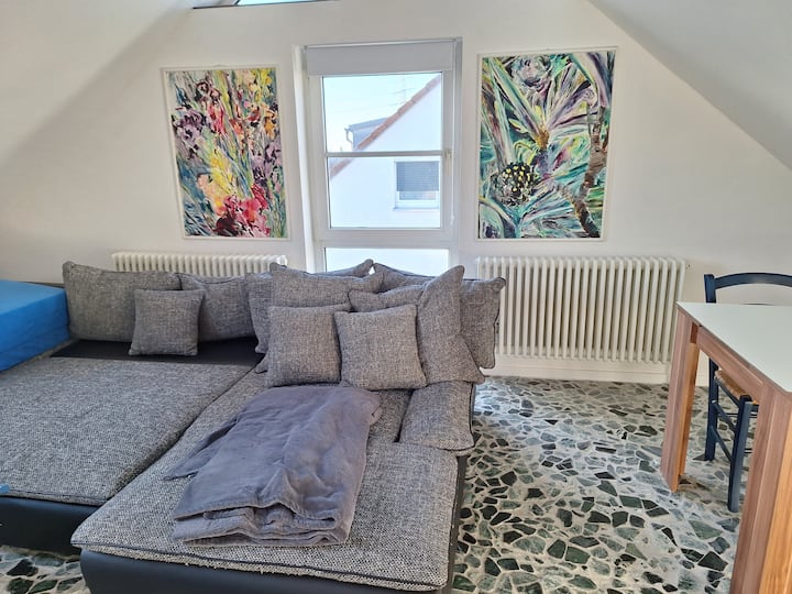 Großes Helles Zimmer In Wohnung - Ulm