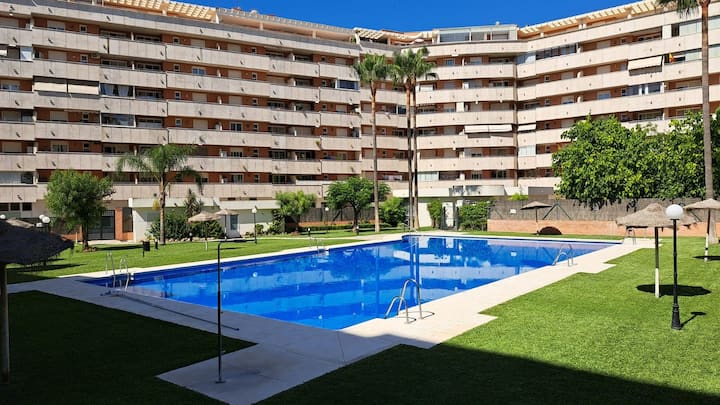 Noctua 020 Estepona Centro 3 - Estepona