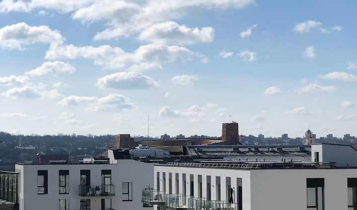 Nest In The Heart Of Vilnius - Vilnius
