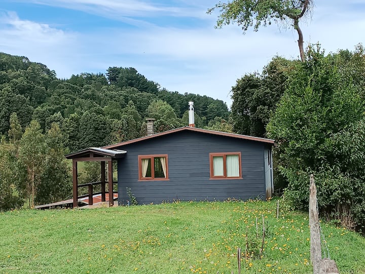 Cabaña En Entorno 100% Natural - Puerto Octay