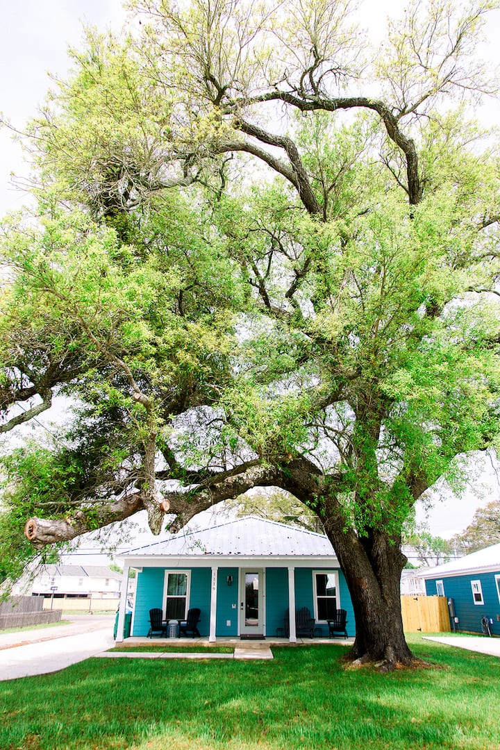 Heron House, Brand New Home, 1 Block From Beach - Gulfport, MS