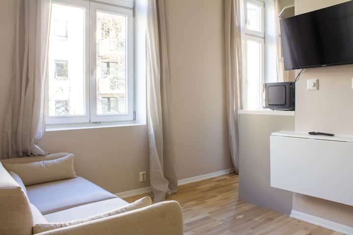 Comfy Studio Apartment Near Oslo S - Oslo