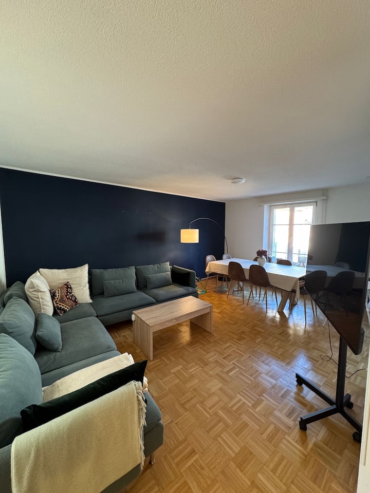 2 Bedroom Apartment For 4 People- Wiedikon - Zürich