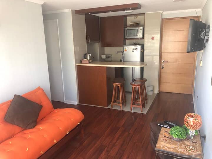 Depto 2d2b Con Vista Al Cerro San Cristóbal - Providencia