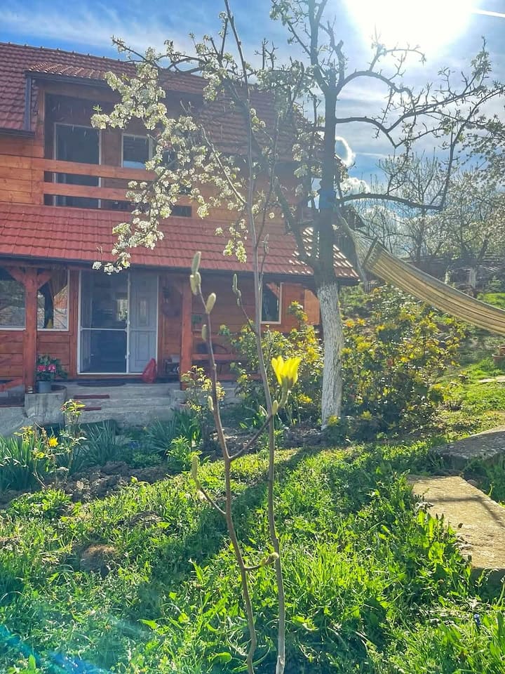 La ȘUră Retreat-hunedoara County - Deva