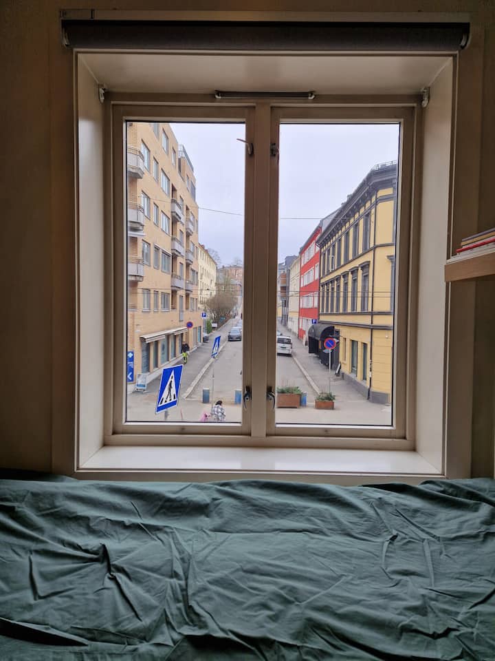 Sjarmerende Leilighet På Bislett - Oslo