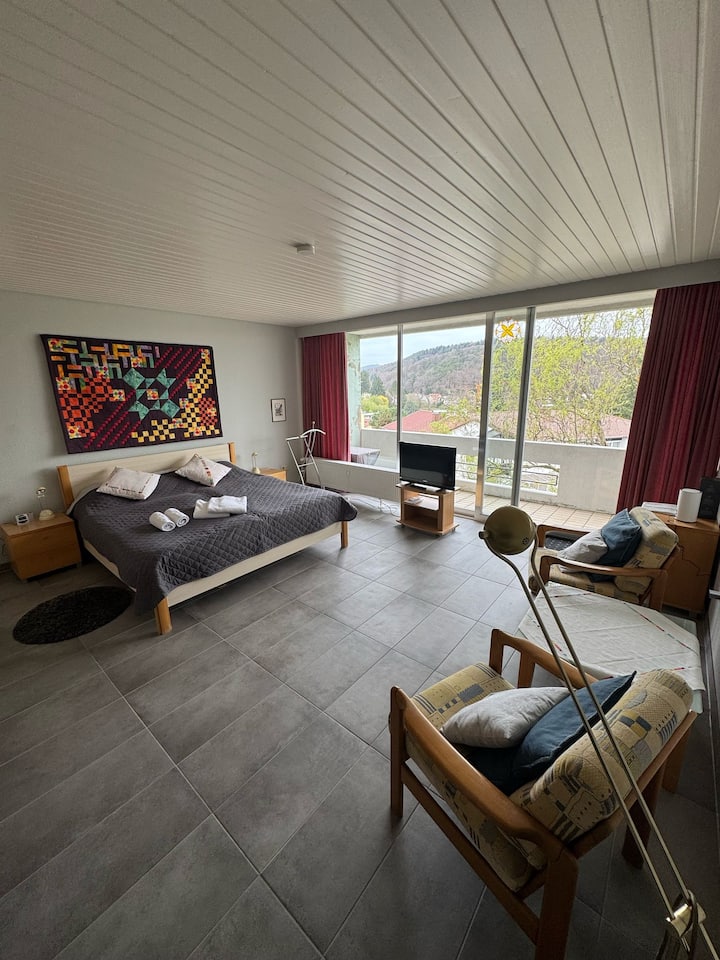 Ferienwohnung - Wissembourg