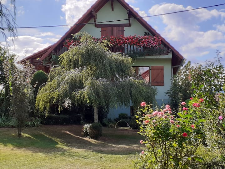 Grand Gîte Proche De Colmar - Colmar