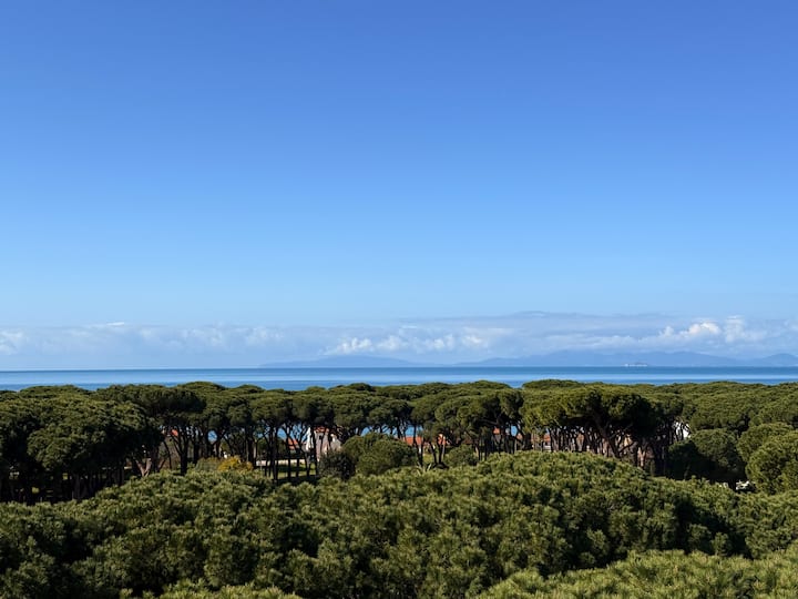 Casa Vacanze Senzuno - Follonica