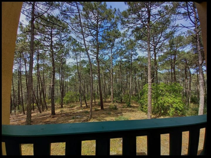 Appartement Cosy Au Milieu Des Pins - Carcans