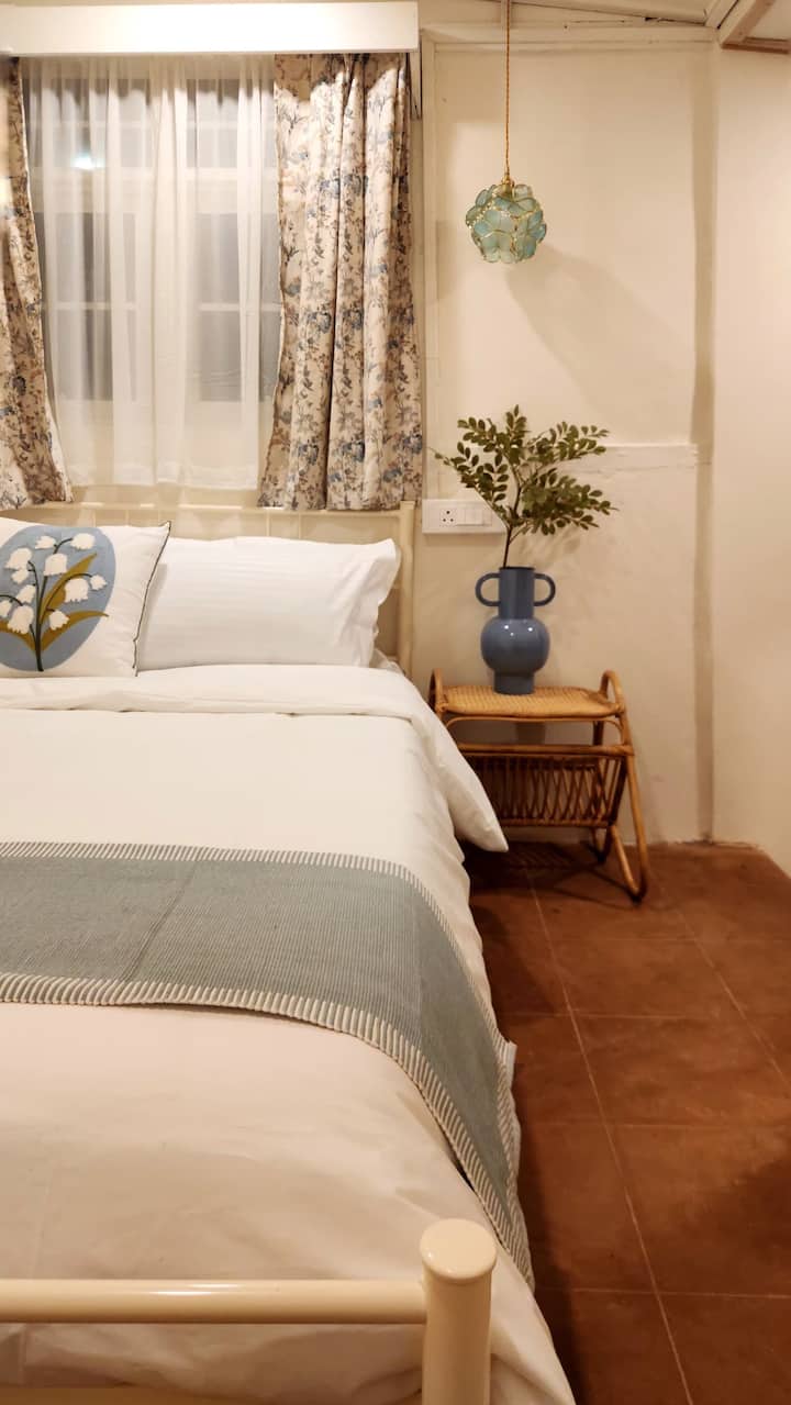 Holly Blue By Rococo - 실롱