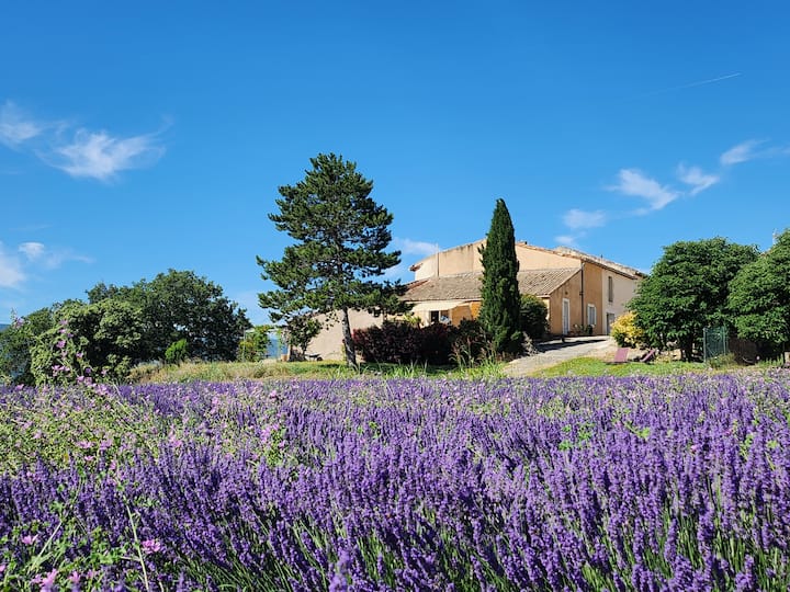 Gite En Luberon - Bonnieux