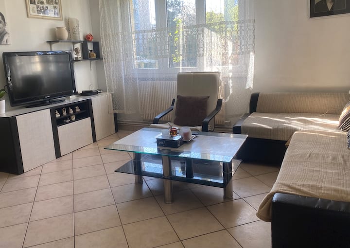 Appart Dans Une Rue Calme - Robertsau