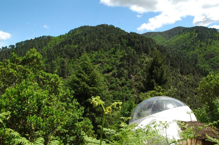 La Bulle Sous Les éToiles - Saint-Jean-du-Gard
