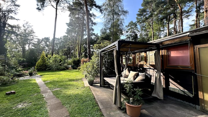 Waldidyll-am-see - Waldgeflüster - Potsdam