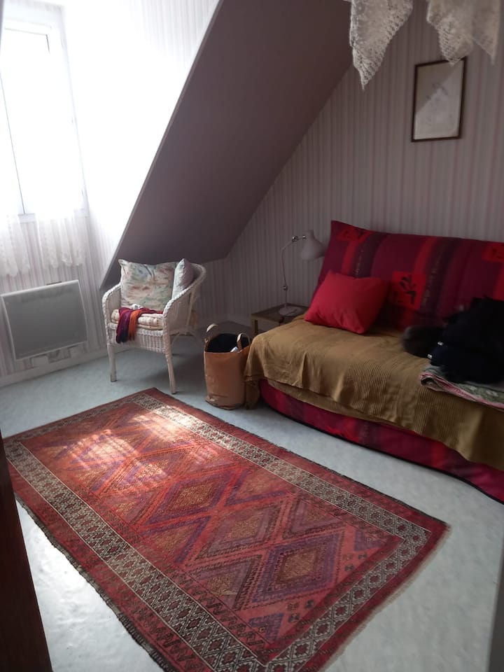 Chambre D'hôtes Arnage Centre - Allonnes