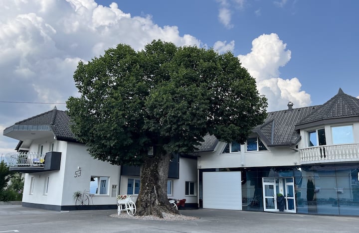 Home Under Old Linden Tree - Kamnik
