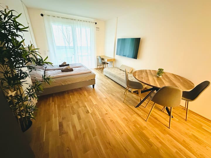 Conveniently Located Apartment - Vienna