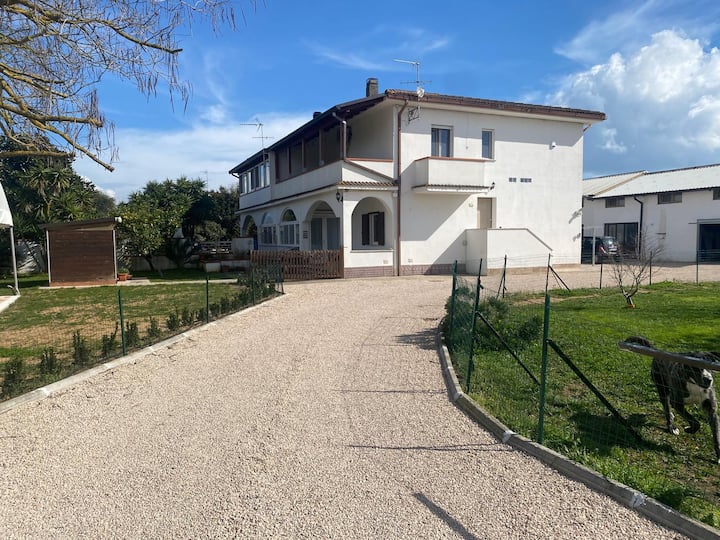 Il Tiglio B&b - Terracina