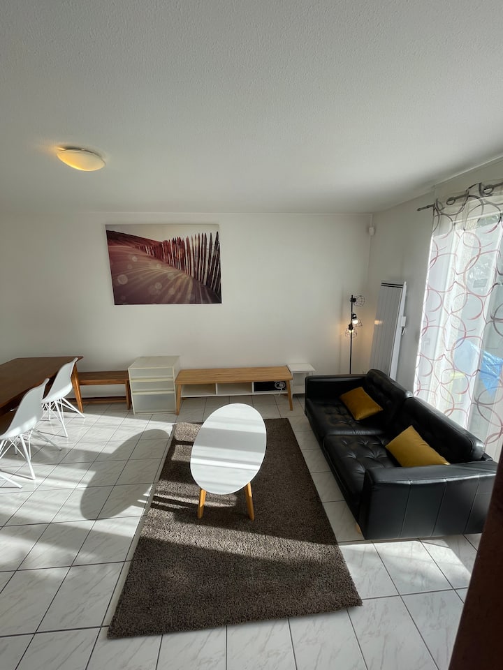 Spacious Apartment By The Border - Ferney-Voltaire