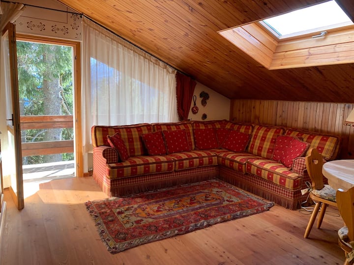 Chalet Pez Gajard San Martino - Moena