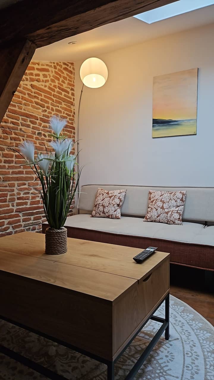Appartement Paisible Et Central - Toulouse