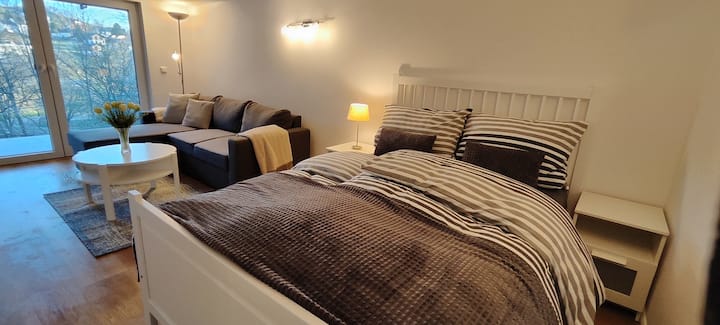 Ferienhaus Kuhl Gemütliche Wohnung Am Diemelsee - Diemelsee