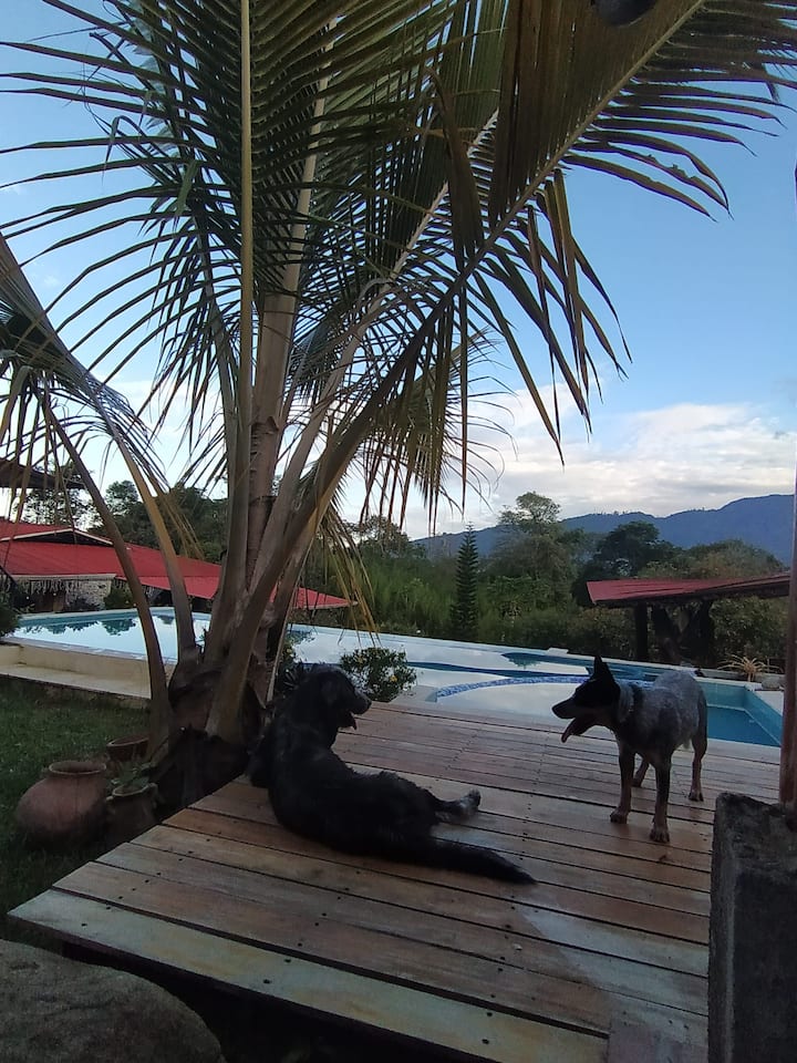 Casa Campestre Dentro En Ibague - Ibagué